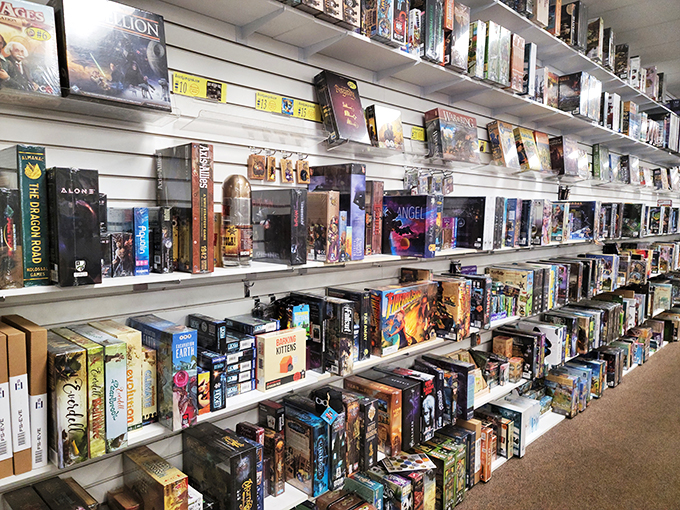 A library of imagination! These shelves are stocked with more adventures than Indiana Jones could handle in a lifetime.