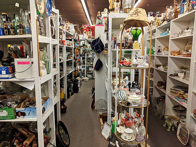 Shelves stacked with stories, each item a chapter in history. It's like a library, but instead of books, you're reading teacups and trinkets.
