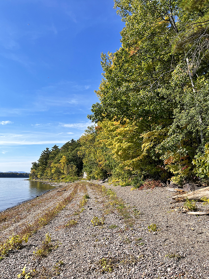 Beach, please! This shoreline's got more personality than a reality TV show cast.