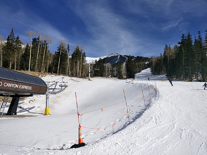 Fresh powder and blue skies: a combo more perfect than peanut butter and jelly. Snowbowl's winter wonderland is serving up slices of snowy paradise.