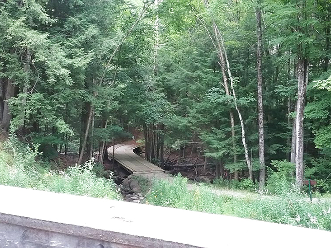 A winding boardwalk through Vermont's woods invites visitors to discover their own natural treasures.