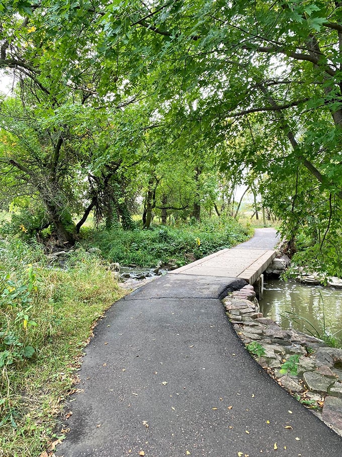 Follow the yellow brick&hellip; er, asphalt road. This winding trail promises more twists than a mystery novel, with scenery to match.