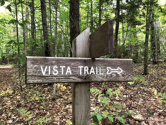 Vista Trail &ndash; two words that promise so much. It's like nature's way of saying, "Trust me, the climb is worth it." Spoiler alert: it always is.