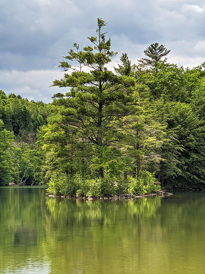 Island living, Vermont style! This tiny oasis is proof that good things come in small, pine-covered packages.