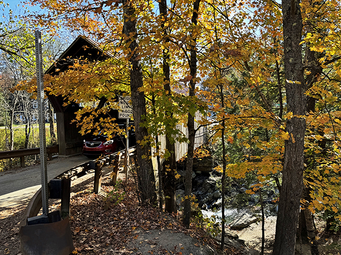 Leaf it to Vermont: Where trees put on a show more colorful than a tie-dye convention, with the bridge as the VIP guest.