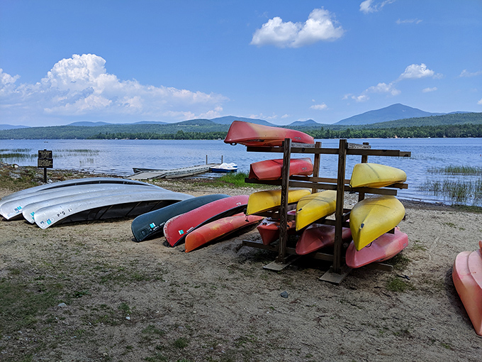 Paddle your way to paradise! These kayaks are your ticket to exploring Mt. Blue's liquid playground.