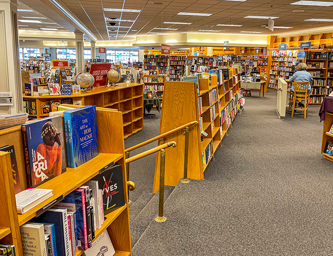 A book lover's playground: where every aisle leads to a new discovery and endless possibilities.