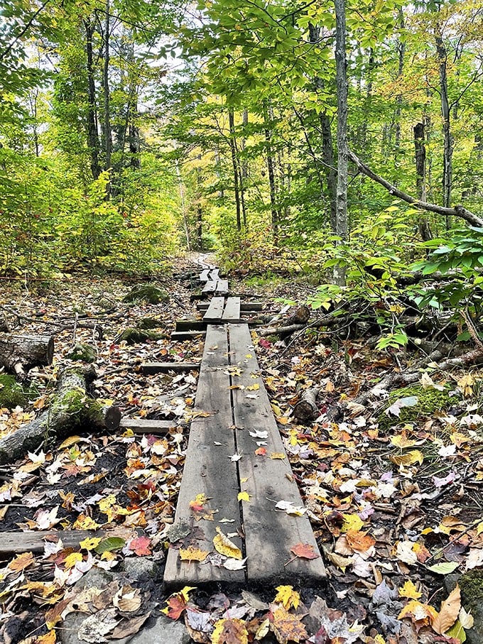Winter wonderland or summer playground? Bromley Mountain doesn't believe in off-seasons.