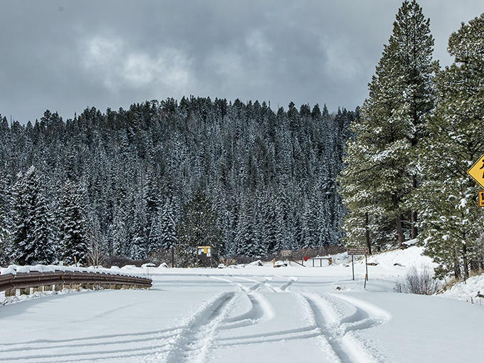 Greer: Arizona's own slice of Alpine paradise. Swap your cactus for a pine tree and your heat stroke for a cool breeze.