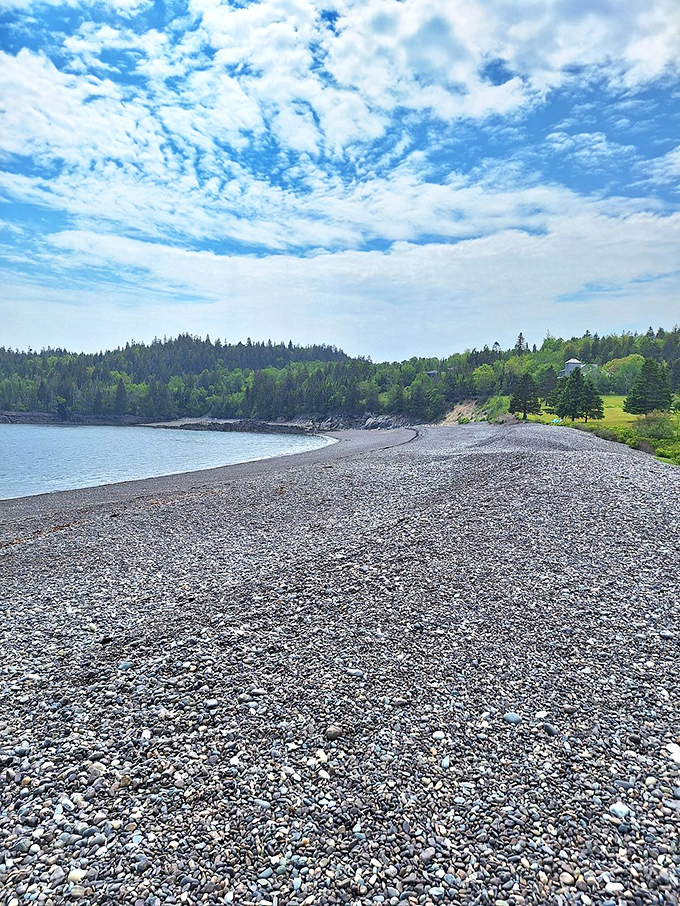 The road less graveled: Where every step on the beach is a new adventure.