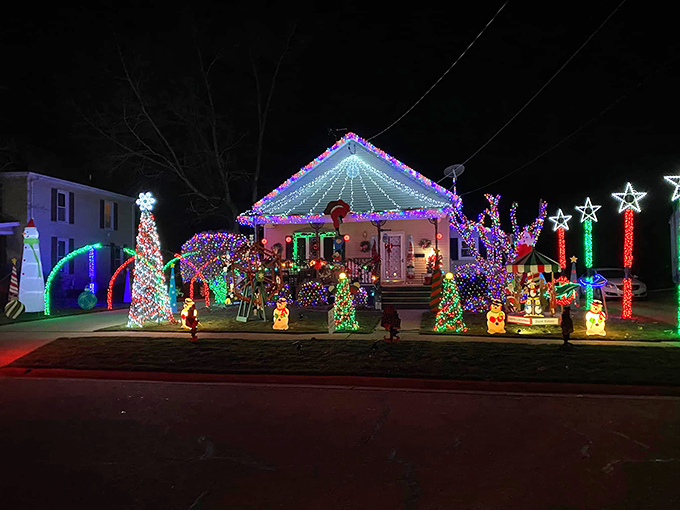 Roadside forest of festivity! Princeton's tree festival is a twinkling oasis on your holiday journey.