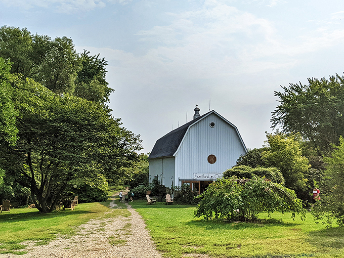 Apples and ambiance &ndash; Sweetland Orchard is serving up slices of paradise with every sip of cider.