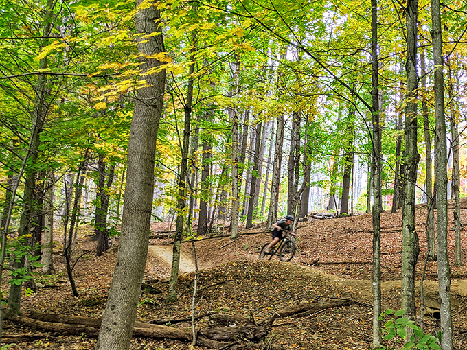 Root-dodging, rock-hopping fun! It's like a natural obstacle course for your bike.