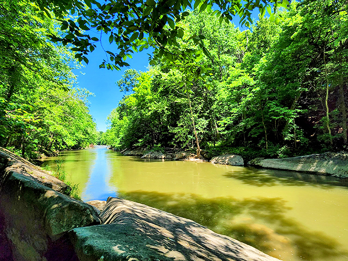 A cascade so pretty, even the bees are jealous. Honey Run Falls: nature's ultimate sweet spot.