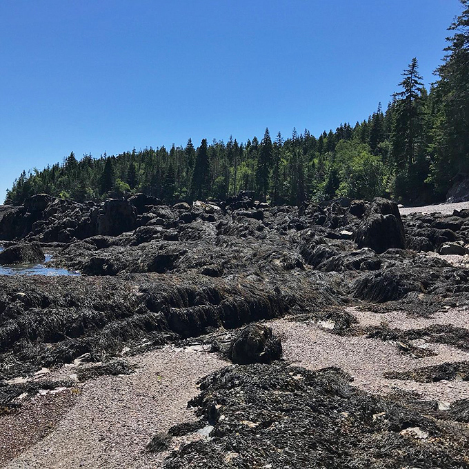 Forget sandy car seats – this unique beach is a road tripper's dream come true.