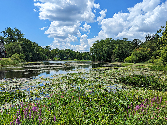 Milford's Central Park: Summer concerts so wholesome, they make apple pie look rebellious. Don't forget your lawn chair!