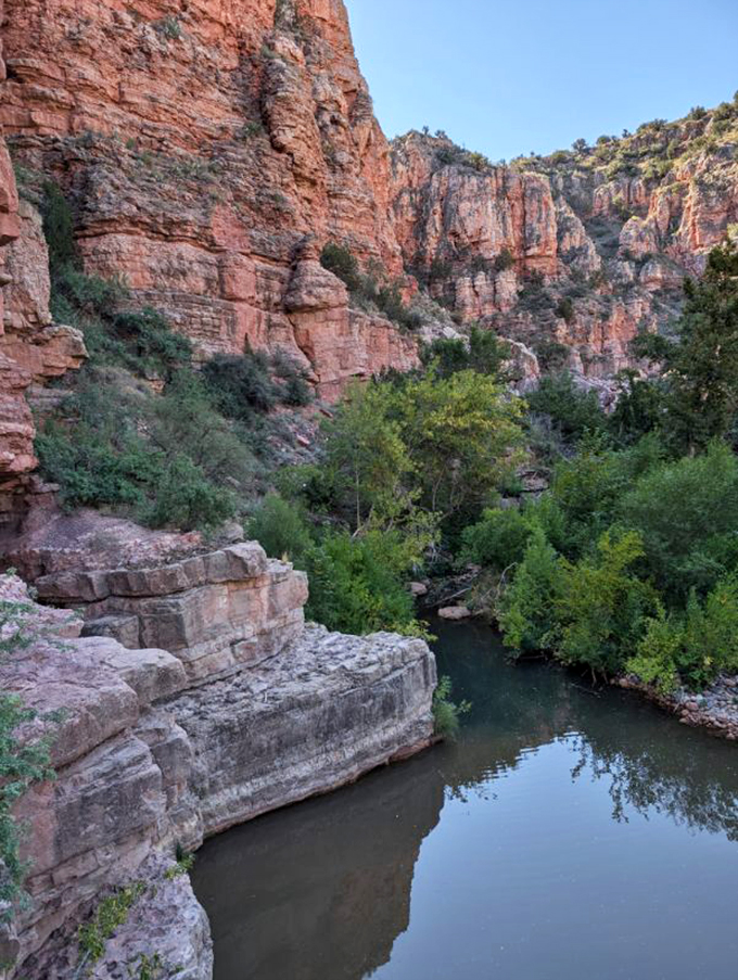 Where red rocks meet emerald pools. It's like Arizona decided to show off all its best features.