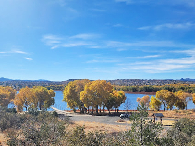 Autumn's paintbrush at work: where every tree is vying for the 'Best Dressed' award in nature's fashion show.