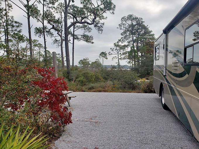 Glamping goals: RV life never looked so good. Who needs a penthouse when you've got pine-scented luxury?