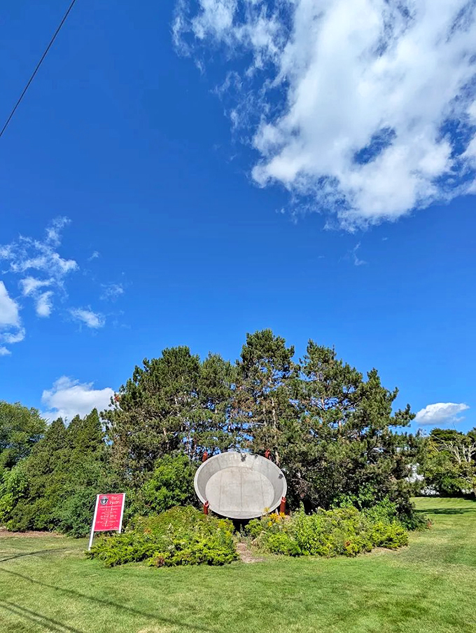 Blue skies, green grass, and one very, very large pie pan. It's a perfect day for some oversized baking.