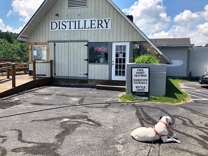 The distillery: where "adult juice boxes" are born. It's like Willy Wonka grew up and decided to make something a little stronger than chocolate.
