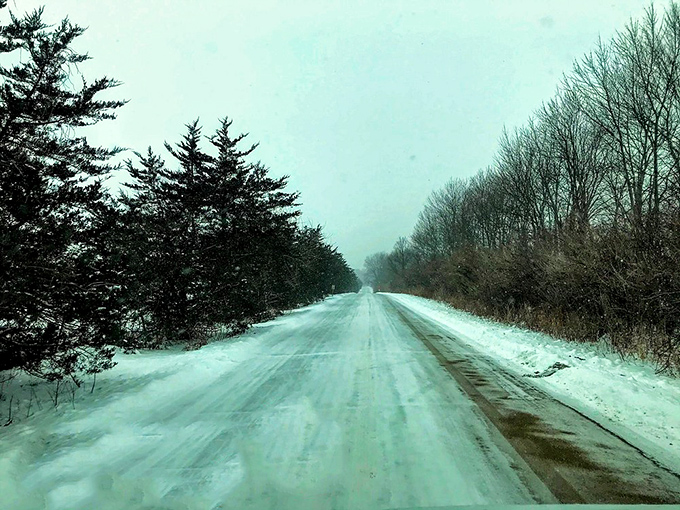 Winter's icy grip transforms the park into a frosty wonderland. Narnia called, it wants its wardrobe back!