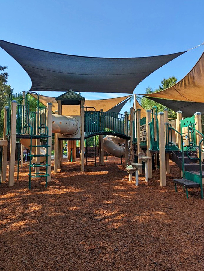 Playground or training ground for future paleontologists? Either way, this dino-themed jungle gym is sure to be a hit with the little ones.