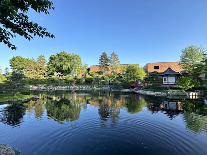 Reflections on reflection: this serene pond offers a mirror to the soul (and some prime real estate for photogenic waterfowl).