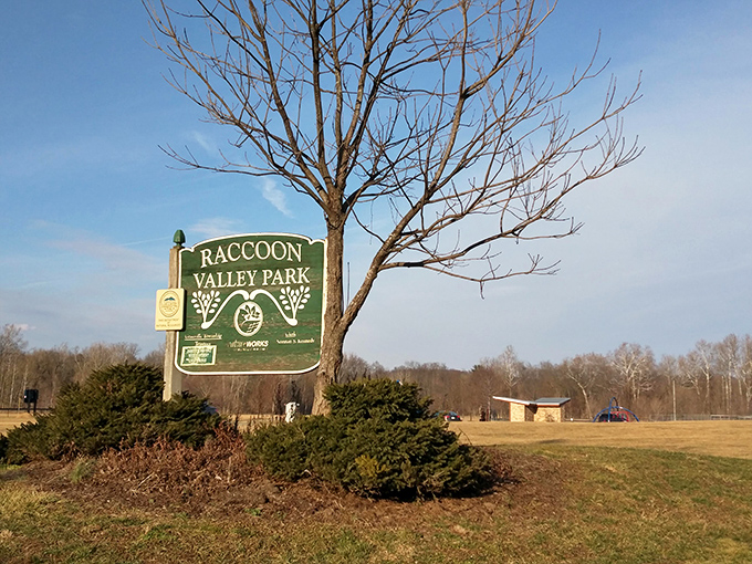 Raccoon Valley Park: where outdoor fun meets wildlife (hopefully not too wild). It's like summer camp, but you get to go home to a hot shower at the end of the day.