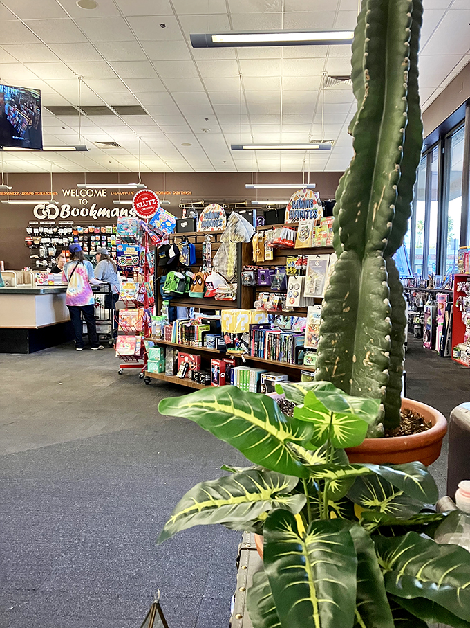 Welcome to Bookmans! Where the staff's smiles are as warm as an Arizona summer, and twice as inviting.