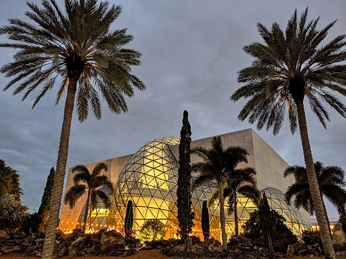As the sun sets, The Dalí Museum transforms into a glowing beacon of creativity. It's like watching the skyline melt - in the best possible way!