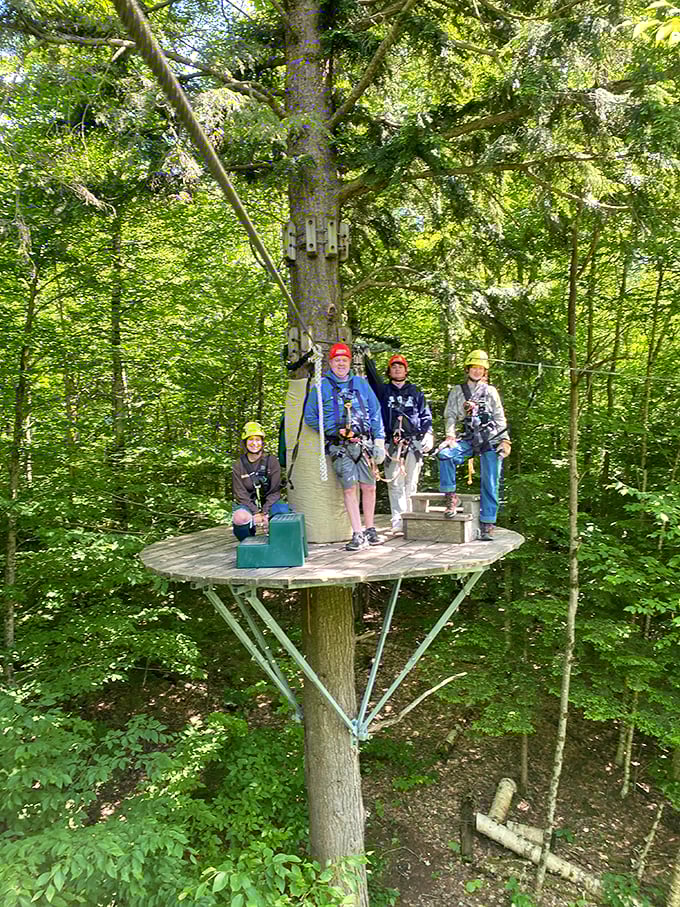 Ready for takeoff! These high-flyers are about to turn the forest into their personal flight deck. Talk about a natural high!