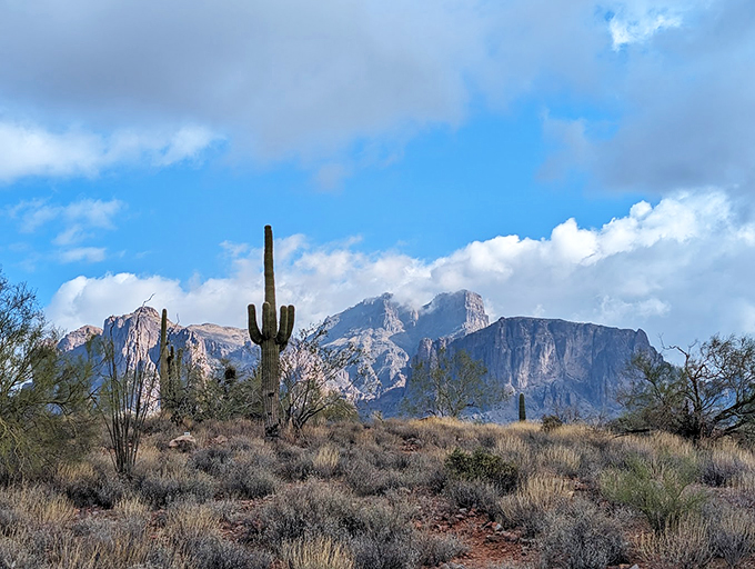 Nature's amphitheater: The Superstition Mountains provide a backdrop so majestic, even Elvis might have been left speechless (but probably not for long).