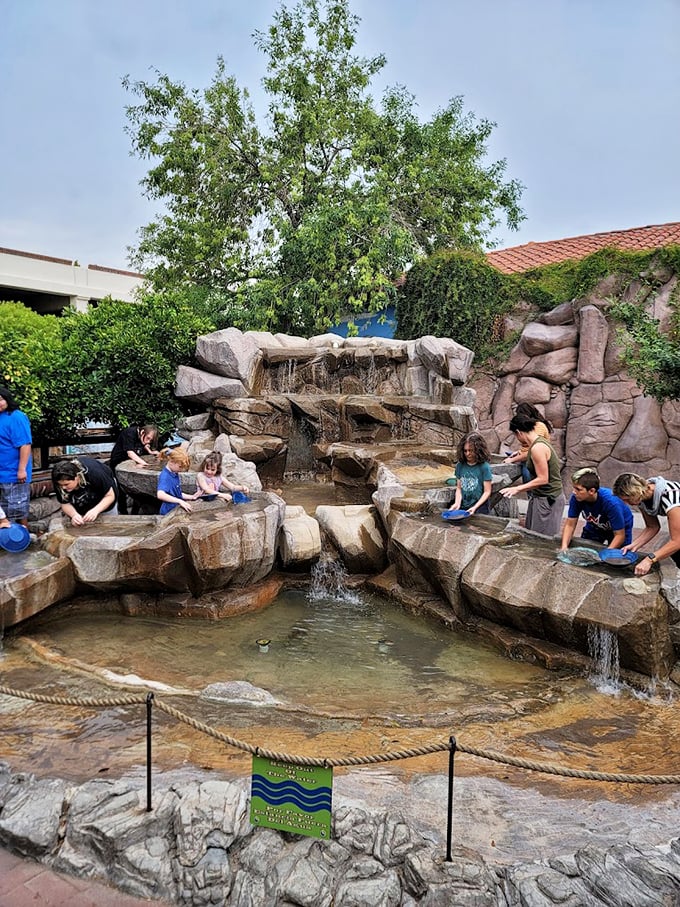 Nature's own water park! This rocky cascade is perfect for wannabe paleontologists to practice their excavation skills.