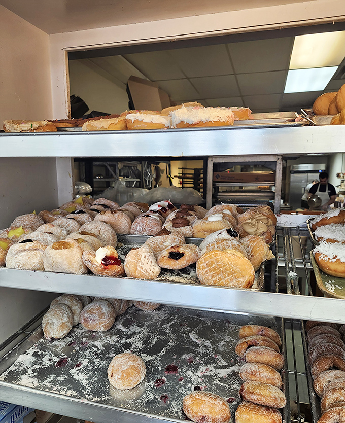Sugar-dusted delights! This variety of donuts offers more than just a tasty treat&mdash;it&rsquo;s a sweet experience that lingers in your memories with every bite.