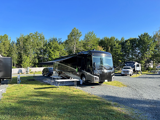 Home is where you park it! These rolling palaces prove you can take it with you – as long as "it" fits through the RV door.
