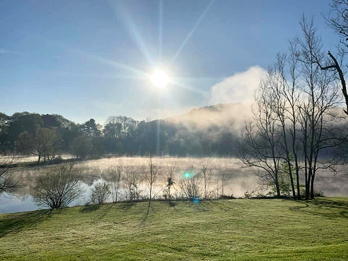Misty morning magic! This ethereal scene is Mother Nature's way of hitting the refresh button on your soul.