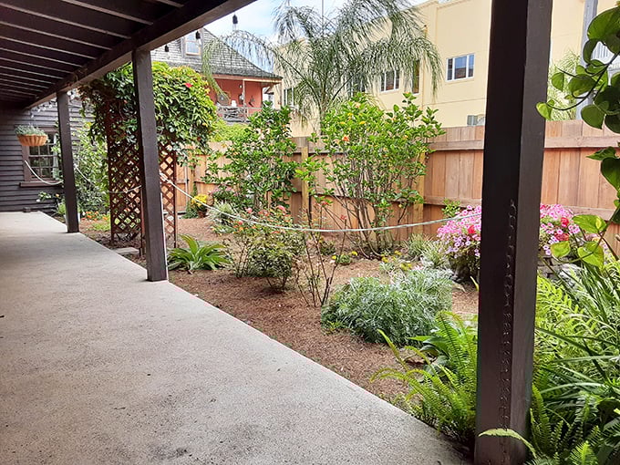 Nature's pharmacy in action! This serene garden showcases the herbs that were once the height of medical innovation.