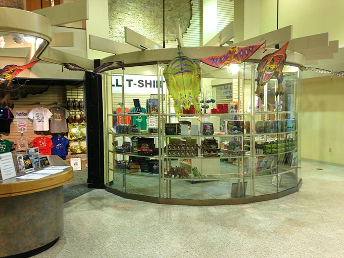 Dino-mite shopping alert! From T-Rex tees to fossil finds, this gift shop is where prehistory meets retail therapy.