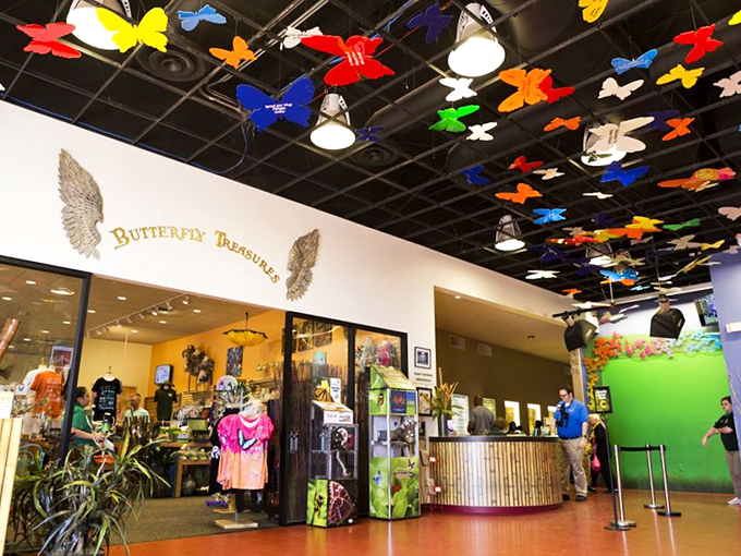 Butterfly fever is contagious! This gift shop ensures you'll take a piece of the magic home with you.