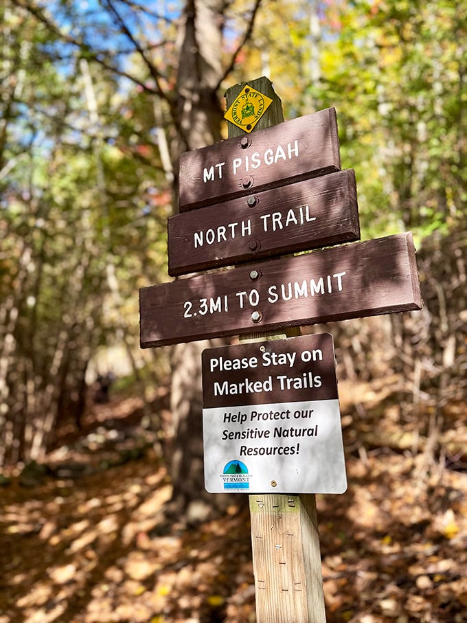Trail signs: Nature's version of GPS. Just follow the arrows to jaw-dropping views and unforgettable memories.