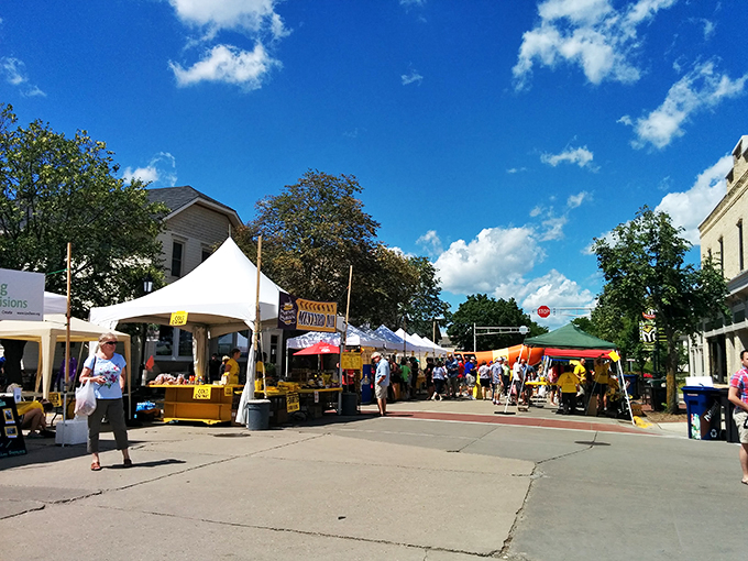 Mustard Mardi Gras! National Mustard Day brings out the zesty side of Middleton, proving that mustard knows how to party.