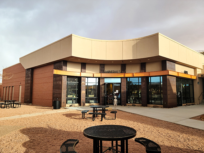 Grab a seat and contemplate the cosmos! This outdoor area is perfect for pondering life's big questions or simply enjoying your astronaut ice cream.