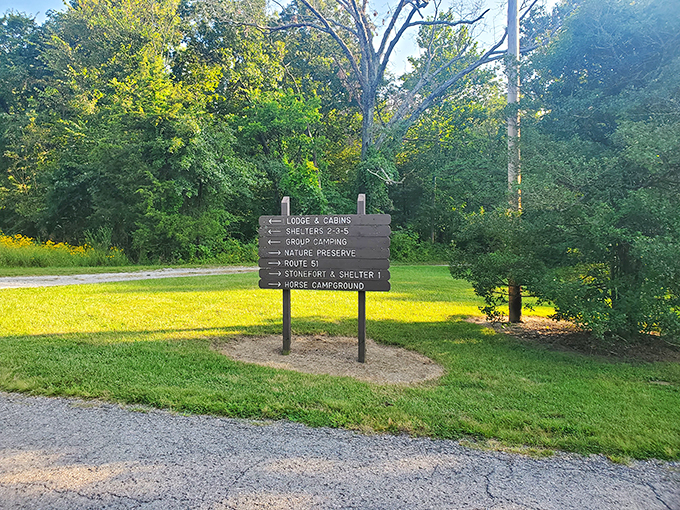 Choose your own adventure! Just remember, in nature's theme park, there's no fast pass for the best trails.