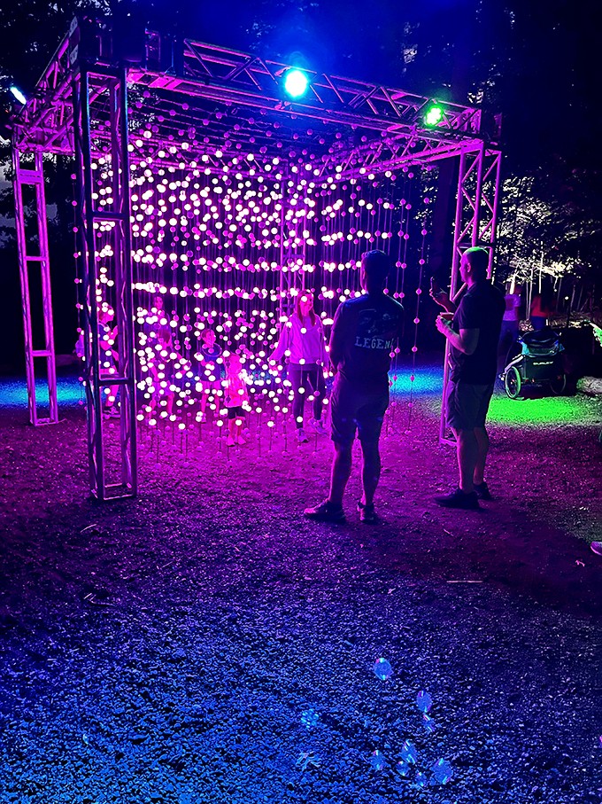 Flower power meets Star Wars! This radiant archway looks like what happens when hippies and Jedis collaborate on garden design.