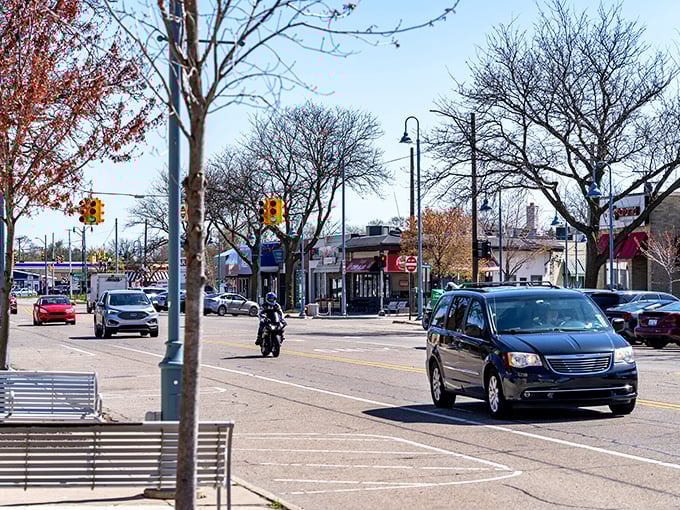 Main drag or time machine? This street scene captures Allen Park's perfect blend of nostalgia and progress, like a Norman Rockwell painting with traffic lights.