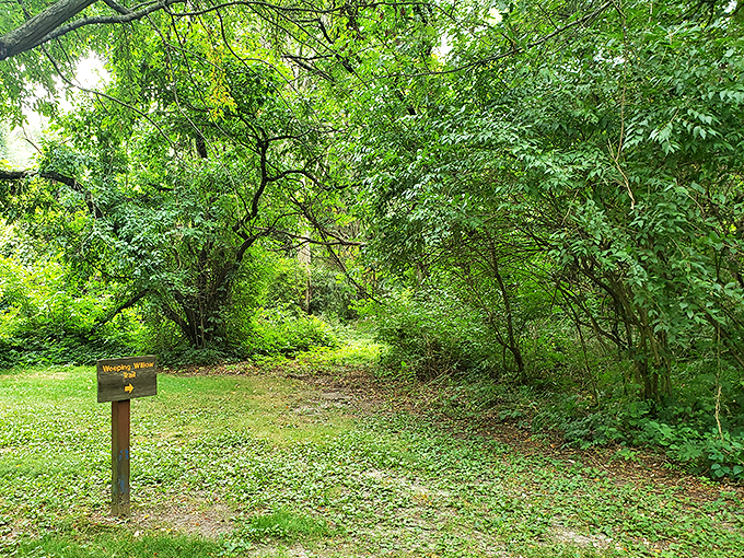 Shhh… nature's whispering its secrets. This hidden trail is like stumbling into the wardrobe to Narnia, minus the talking animals (probably).