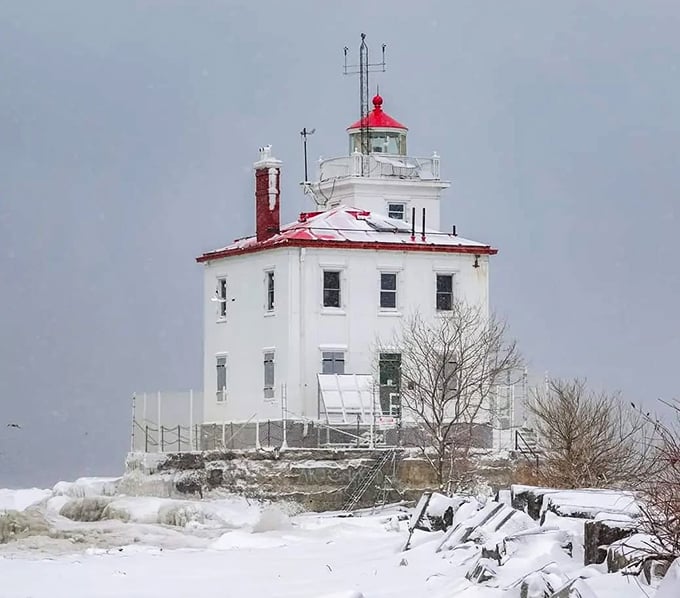 "Winter wonderland or lighthouse snow globe? Either way, this frosty scene is giving me chills &ndash; the good kind!"