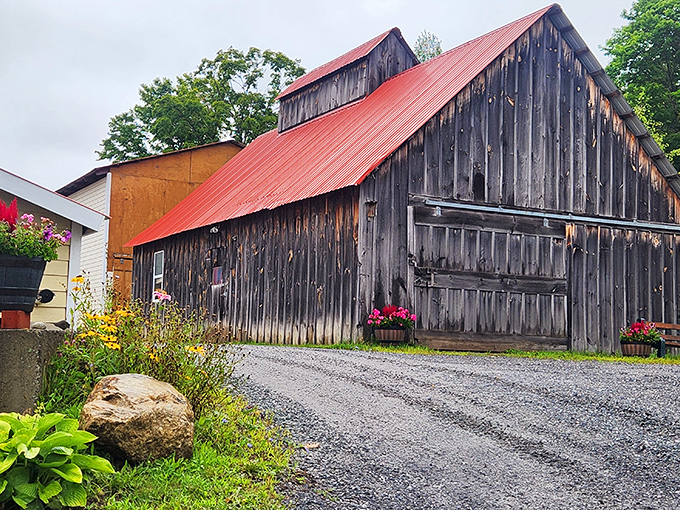 This isn't just a barn, it's a cathedral of sweetness. Red roof, weathered wood - it's pure Vermont, bottled and ready to pour.