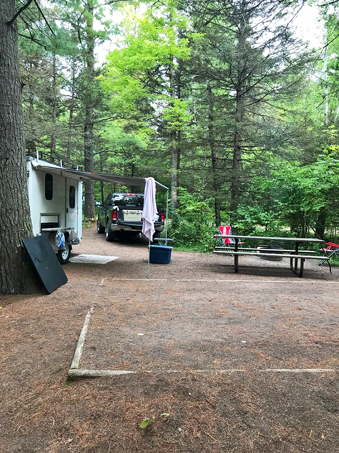 Camping with a side of pine-scented luxury. It's like your backyard decided to level up and join the wilderness.